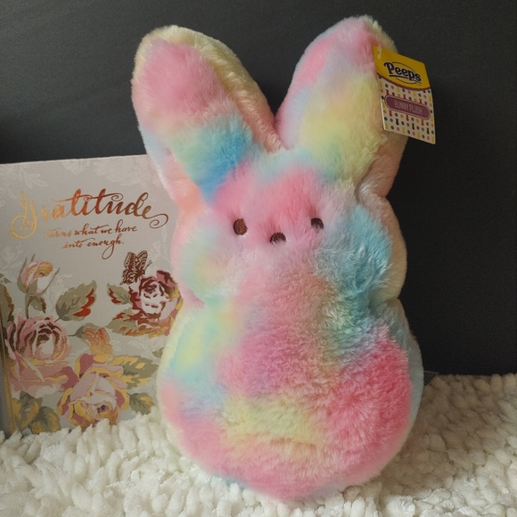 Peeps | Toys | Nwt 2 Baby Rainbow Tie Dye Peep | Poshmark